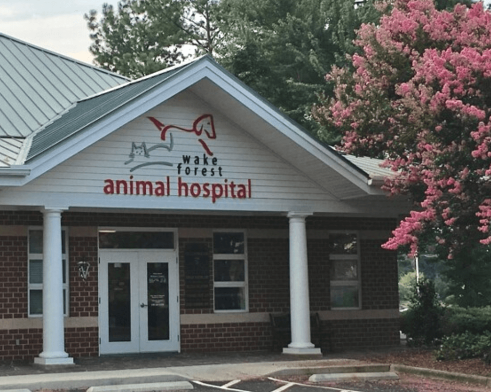 Best Veterinary Hospital In Wake Forest, NC | Wake Forest AH